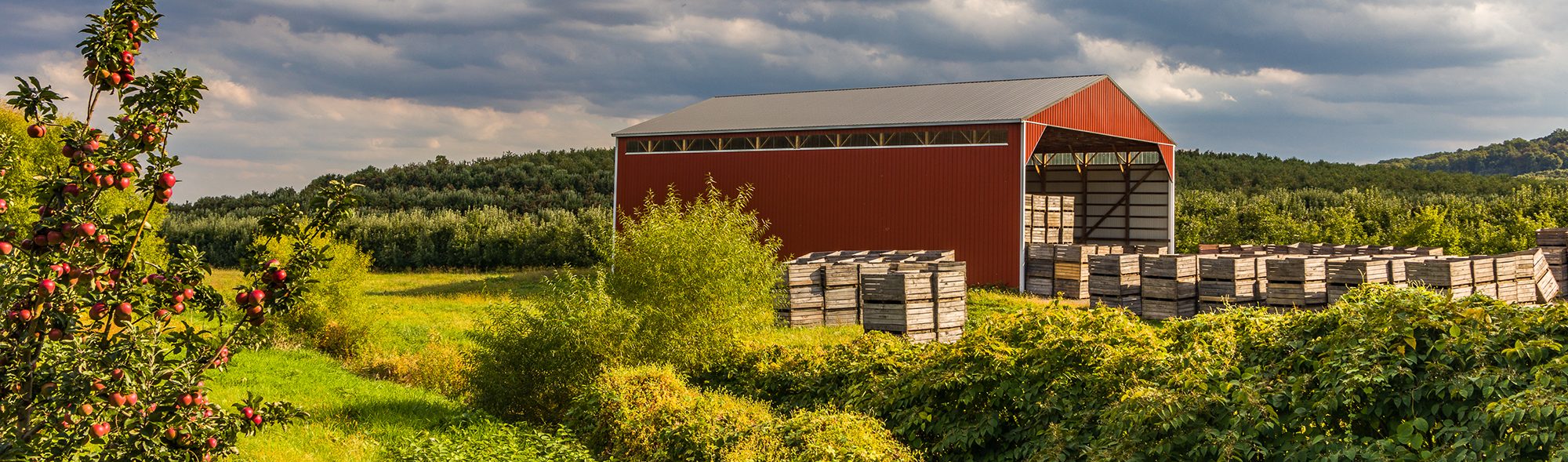 Musselman's Family Farms 360 Tour - Musselman's