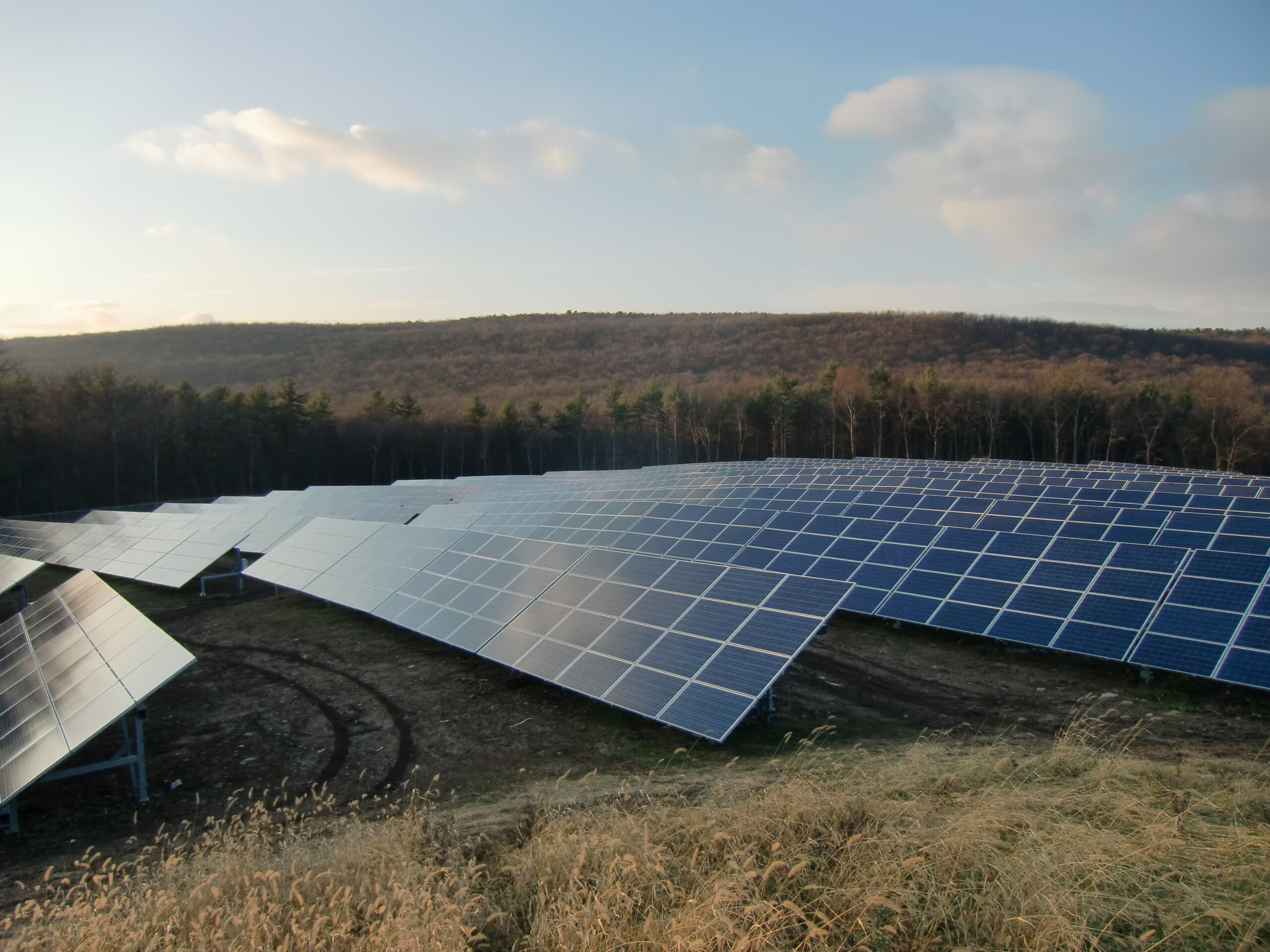 Sustainability - Musselman's