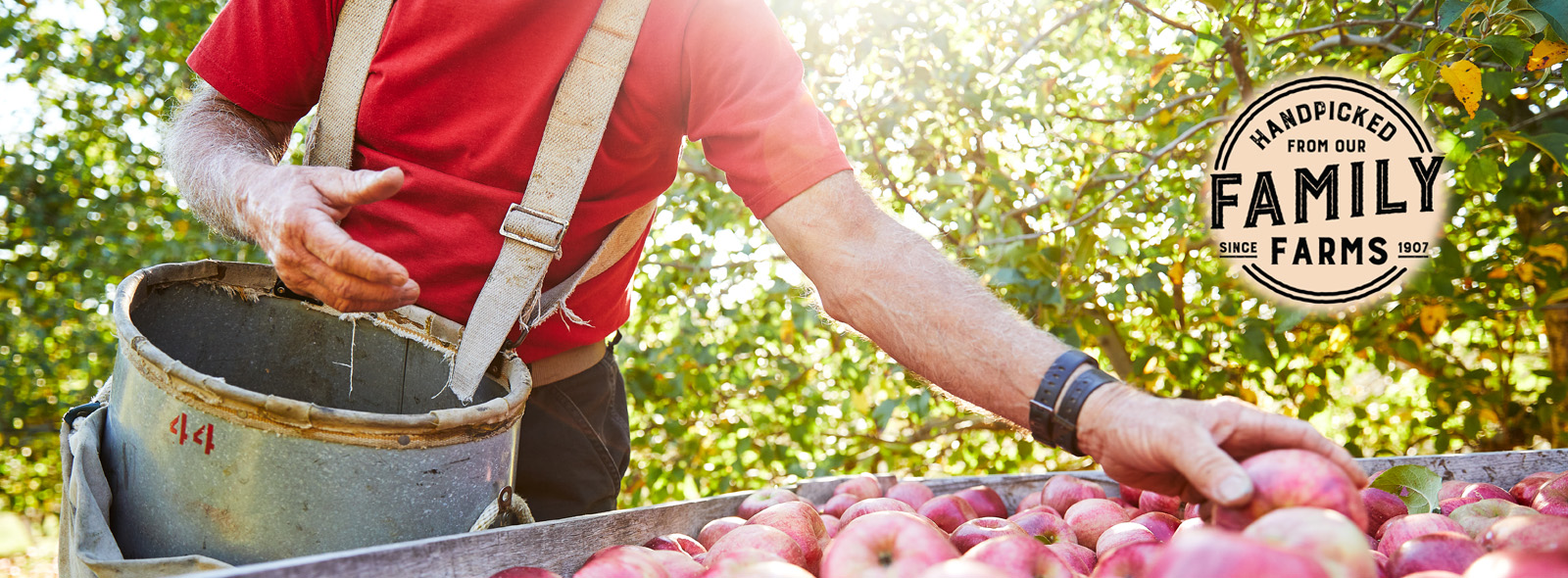 Juice & Cider - Musselman's